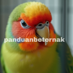 Tanda Awal Lovebird Mengalami Gangguan Kesehatan yang Sering Diabaikan ...